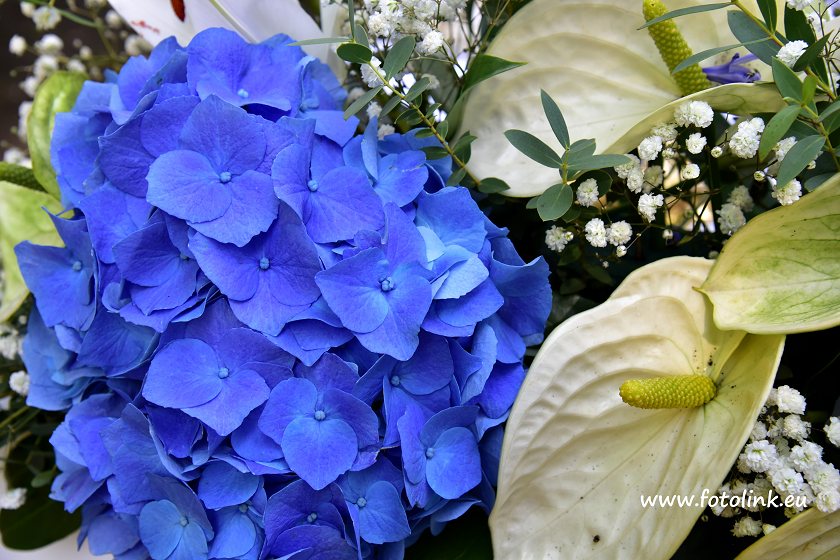 Homilie Pastoor Gianfranco 15 augustus 2023 | Kerknet