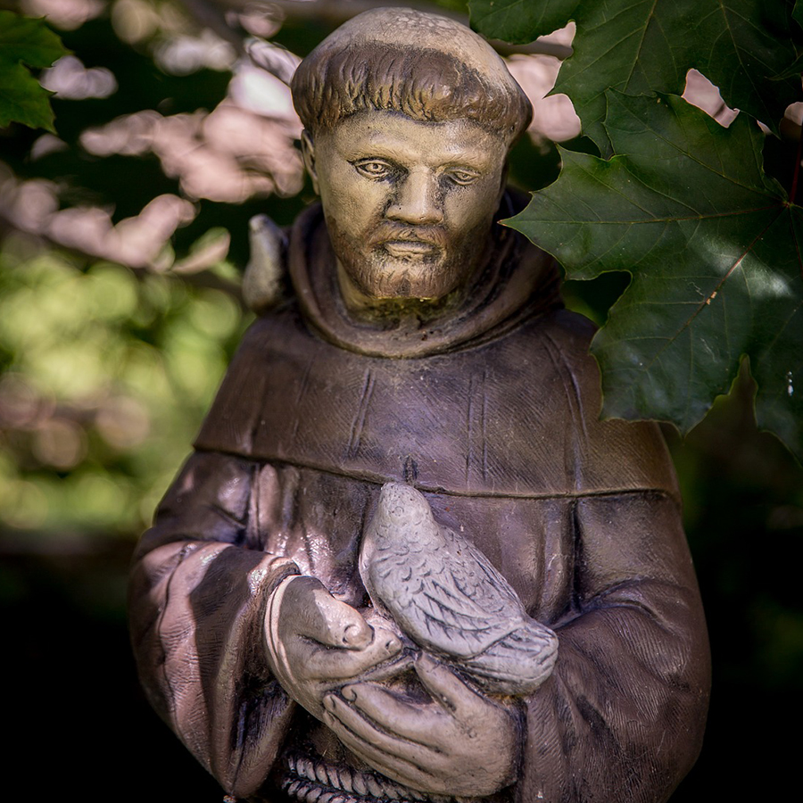 Hoe Franciscus van Assisi de basis legde voor Werelddierendag | Kerknet