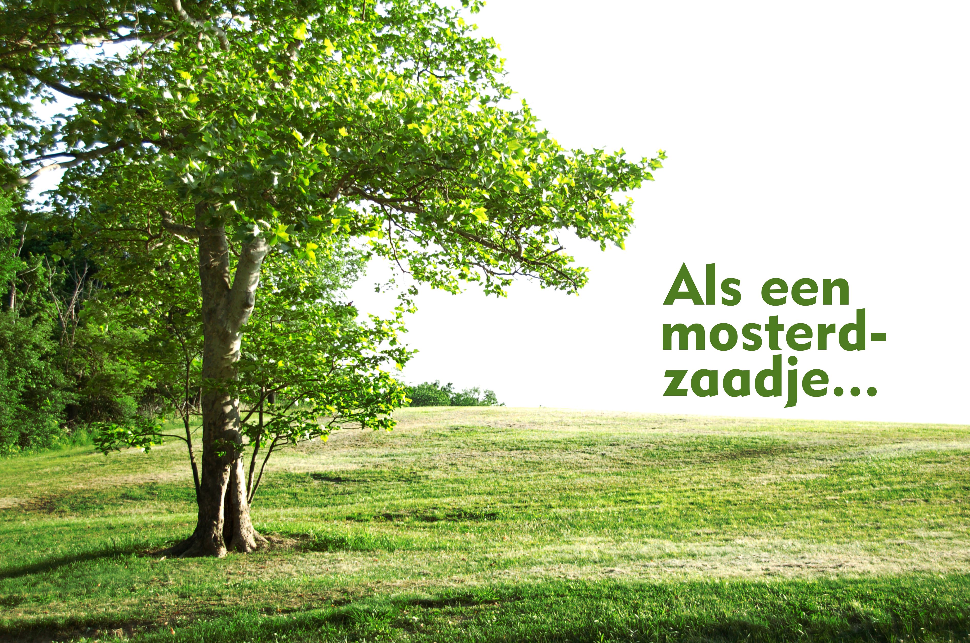 Als een mosterdzaadje | Kerknet