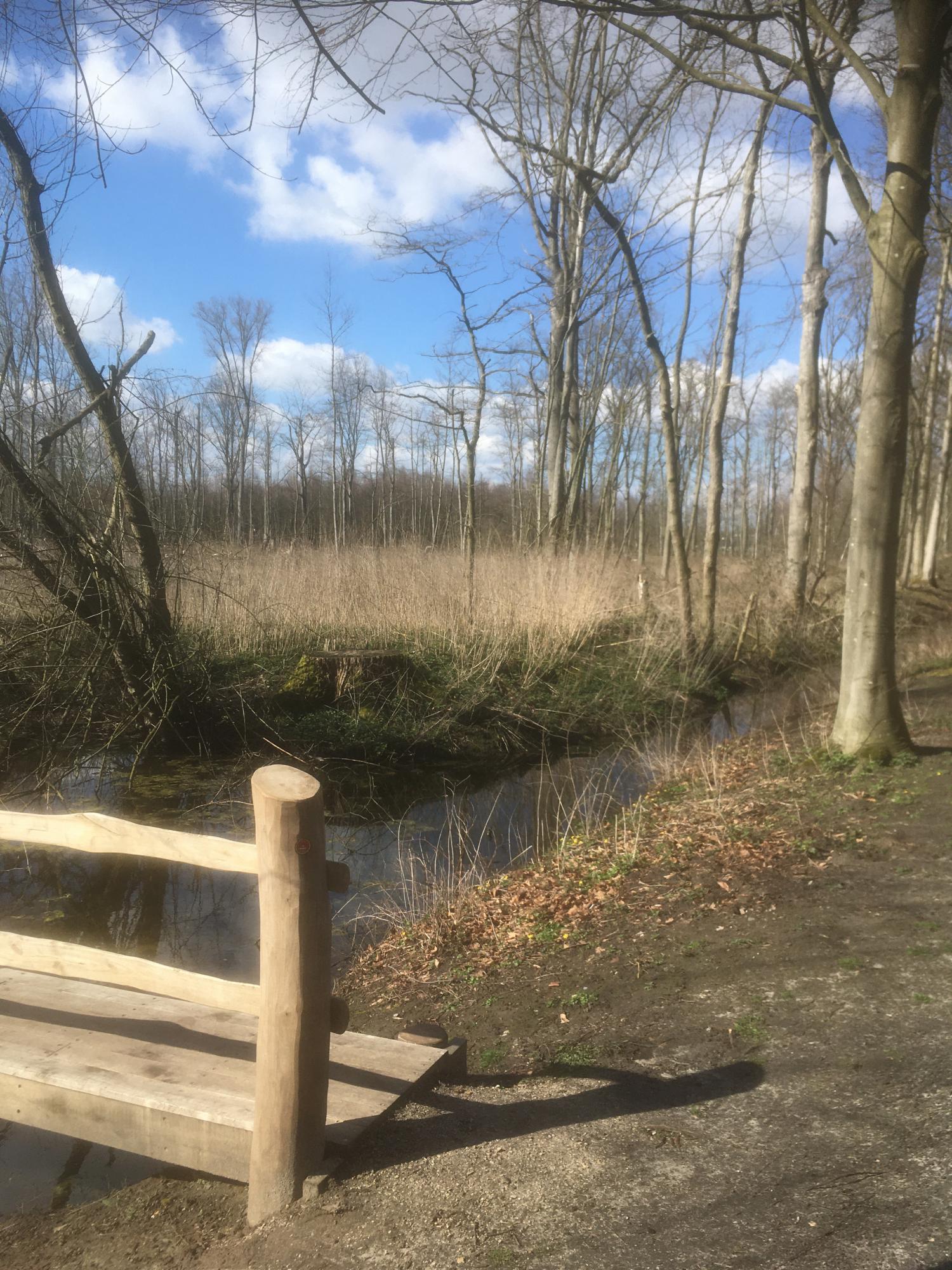 Overweging bij de hoogdag van Allerheiligen … | Kerknet