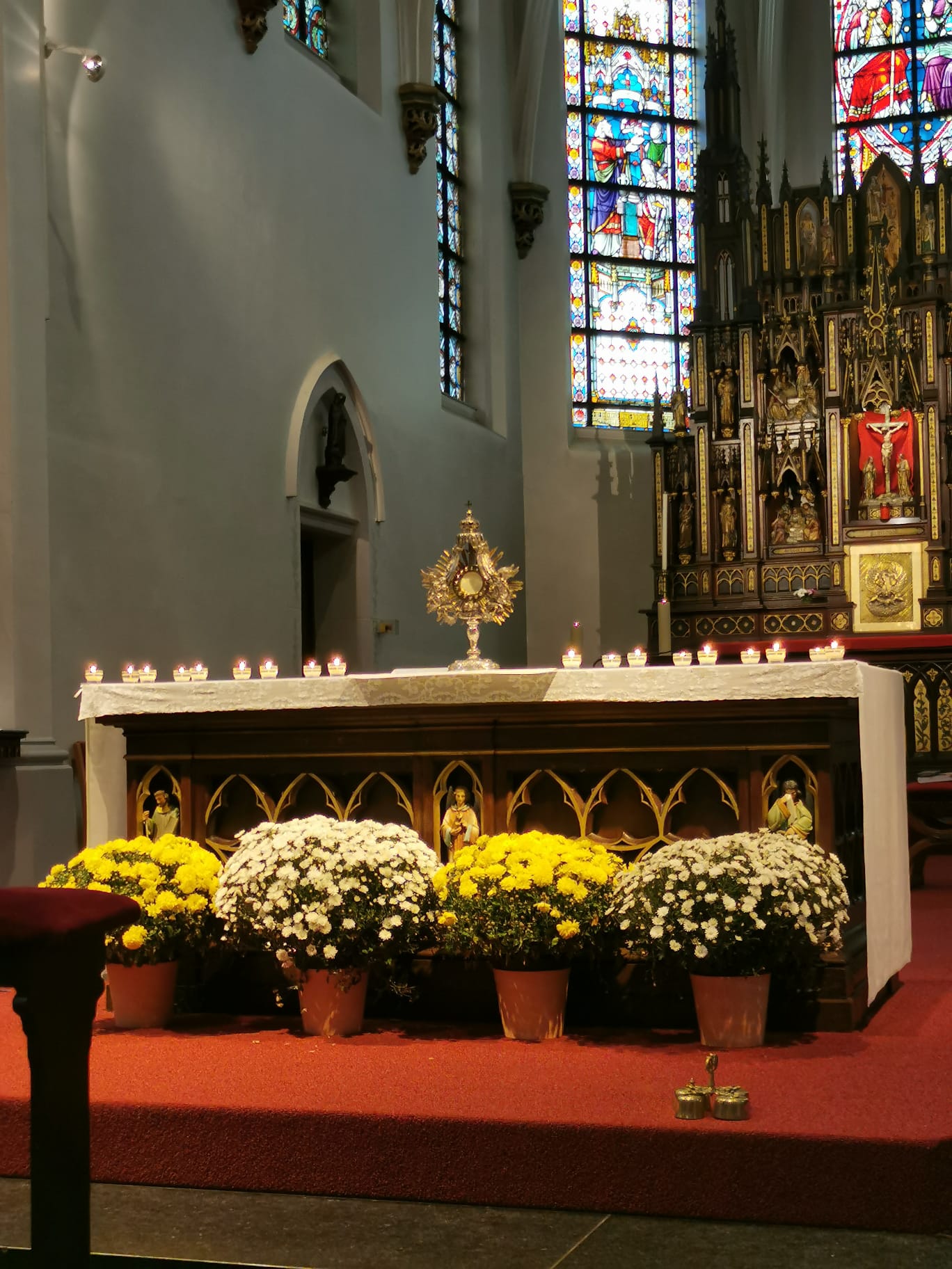 Christus Koning in Sint-Antonius Abt | Kerknet