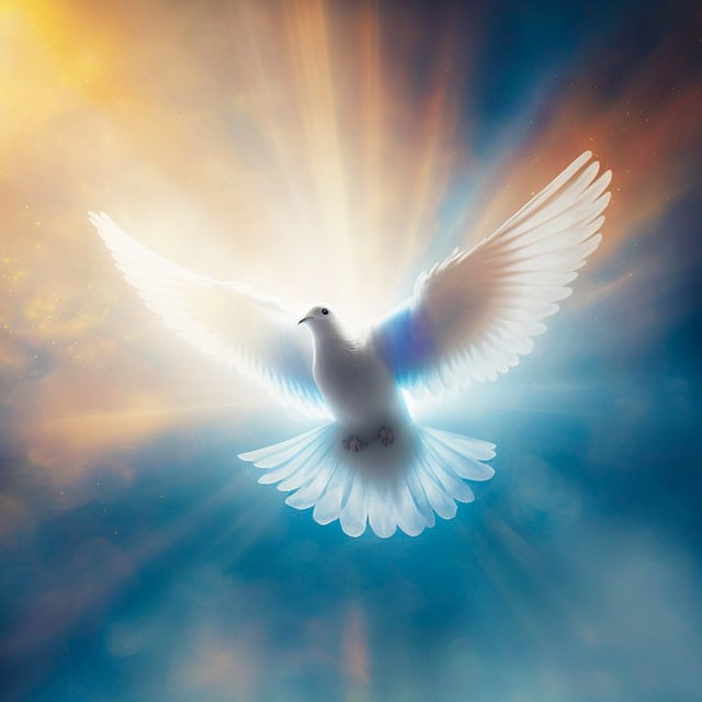 Het sacrament van het Vormsel | Kerknet