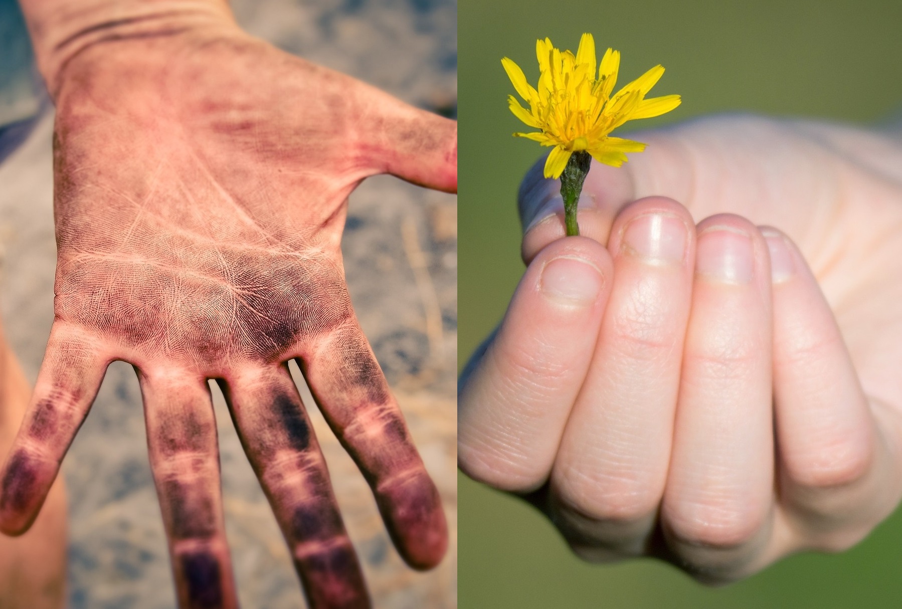 Rein en onrein | Kerknet