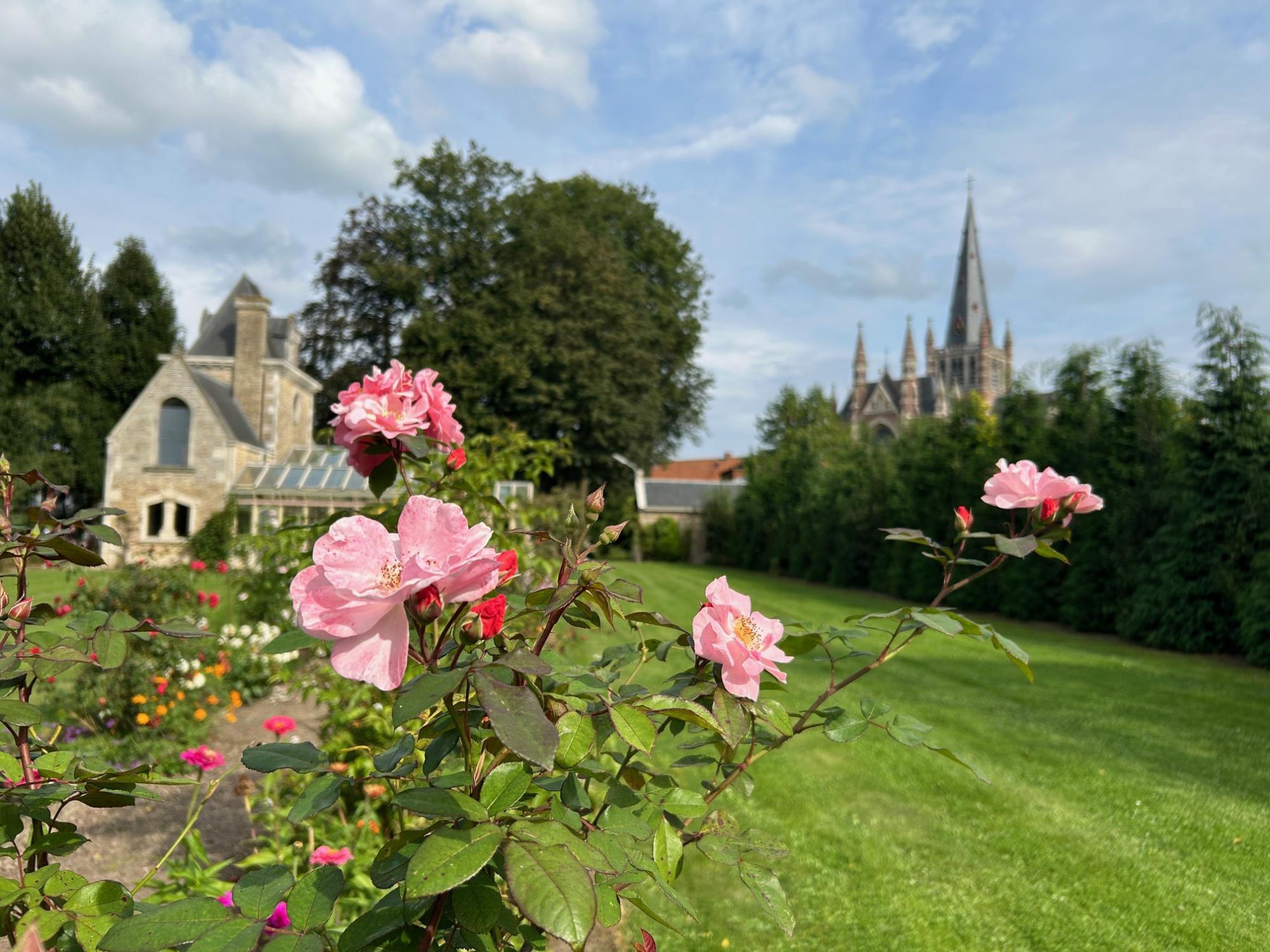 Woord van rector Marc Vantyghem | Kerknet