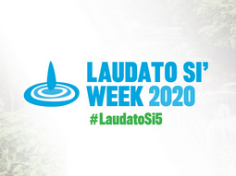 Alles is met alles verbonden - 5 jaar 'Laudato Si' | Kerknet
