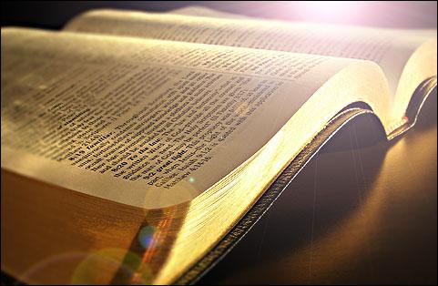 5,7 miljard mensen kunnen de Bijbel lezen | Kerknet