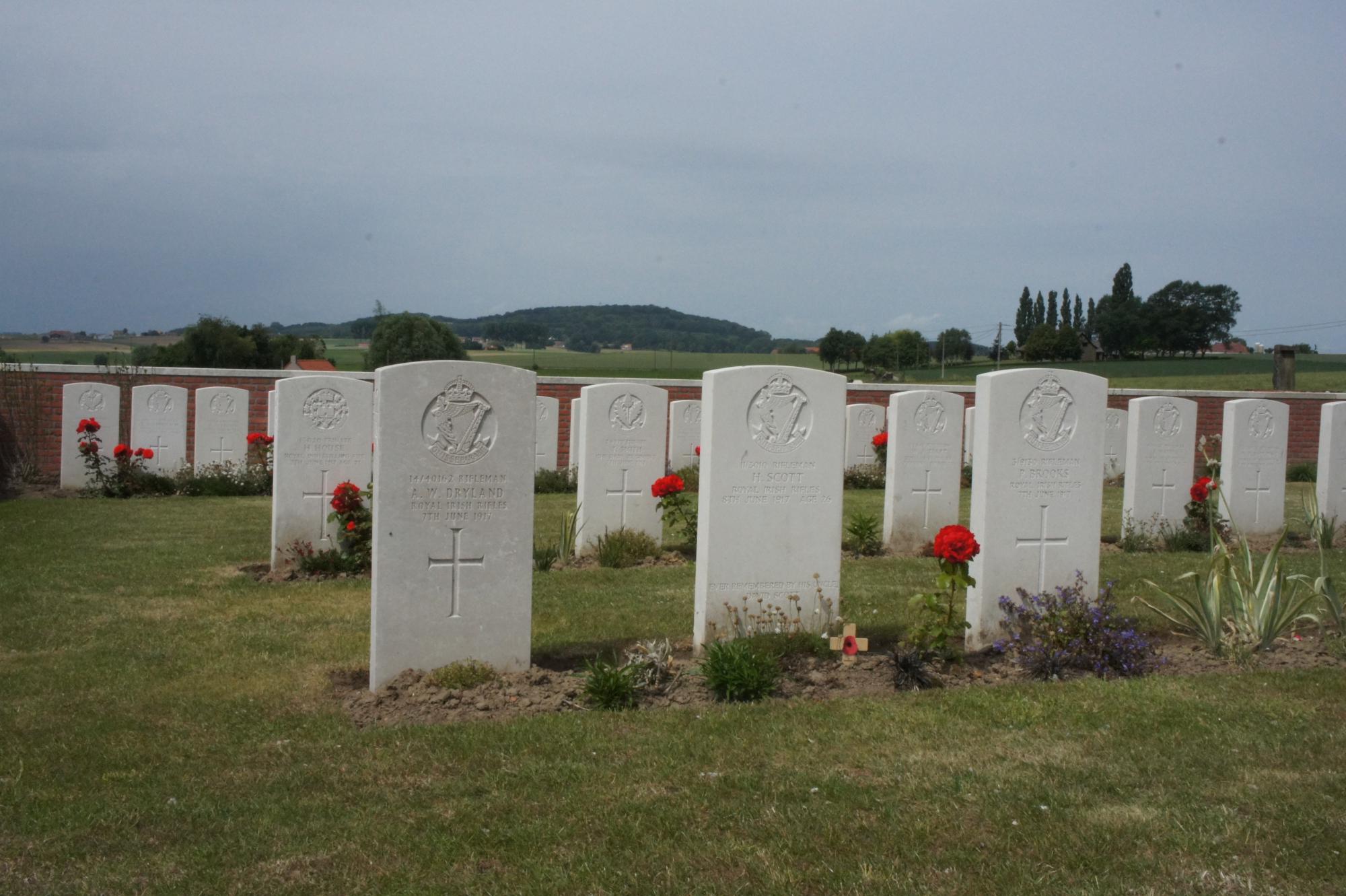 Vrede is onze weg | Kerknet